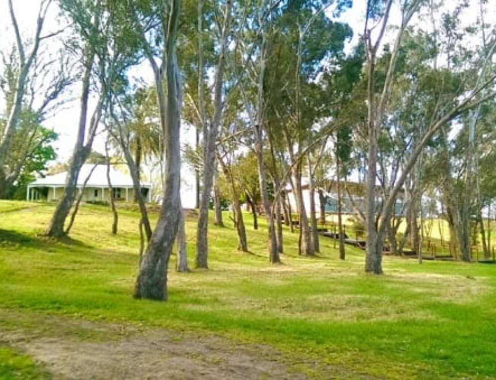 Asset Protection Zone (APZ) | Bushfire Management Plan